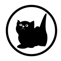 All Cats and Kittens for Adoption – Trinidad and Tobago Cats and ...